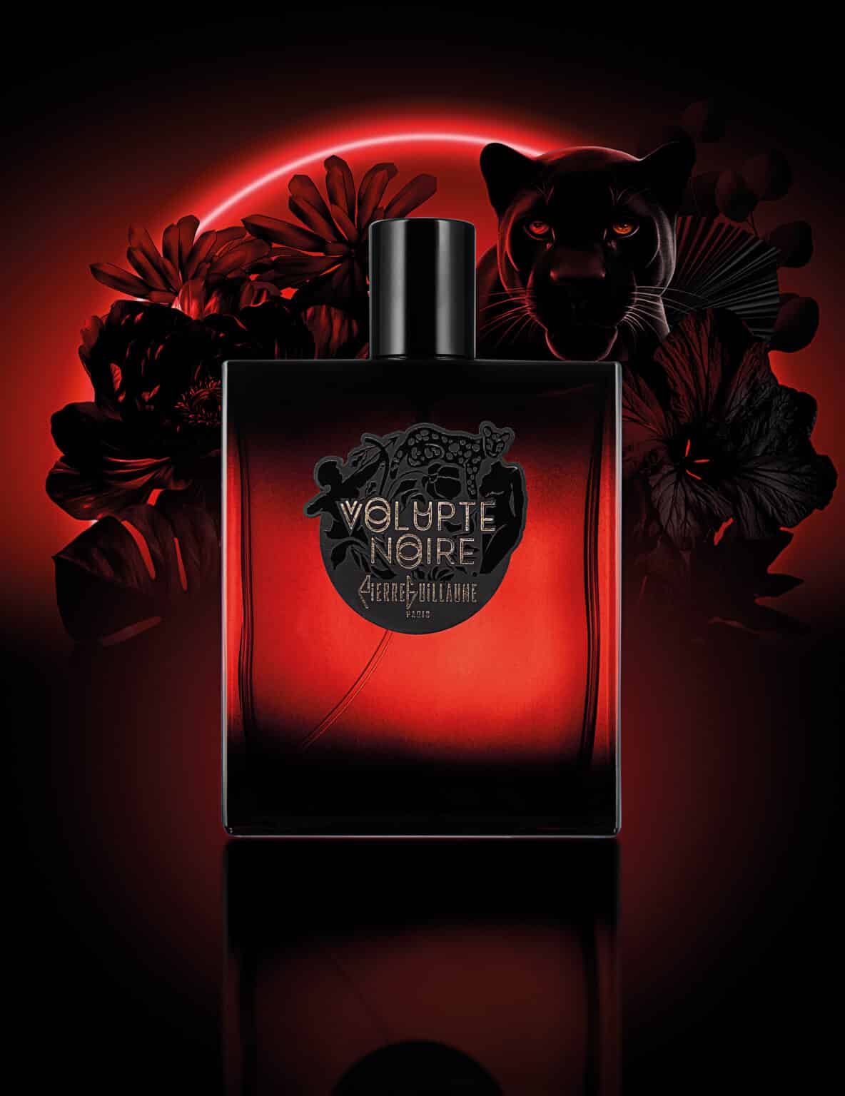 Volupté Noire by Pierre Guillaume - sensuality in black